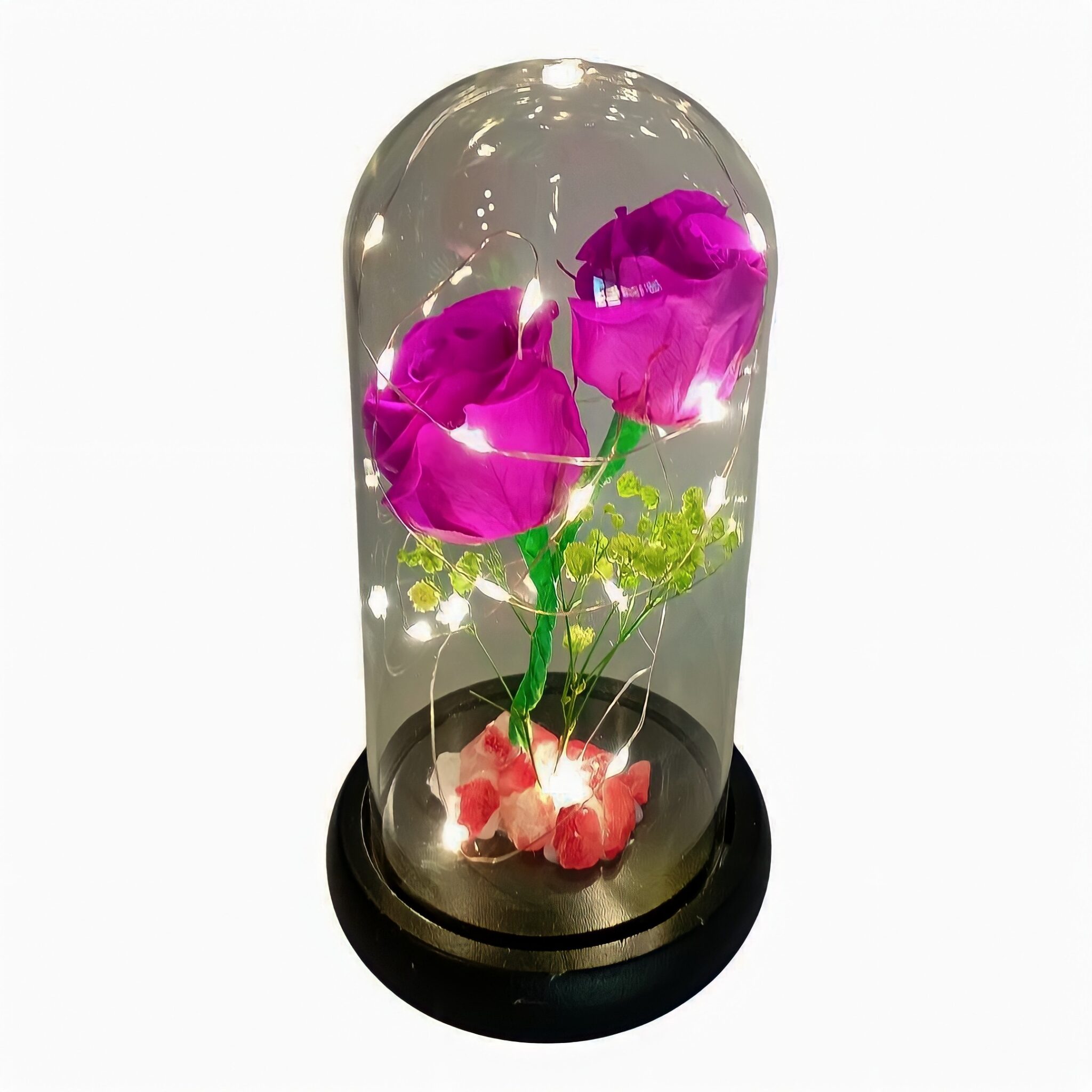 Capsula con 2 Rosas lilas naturales preservadas