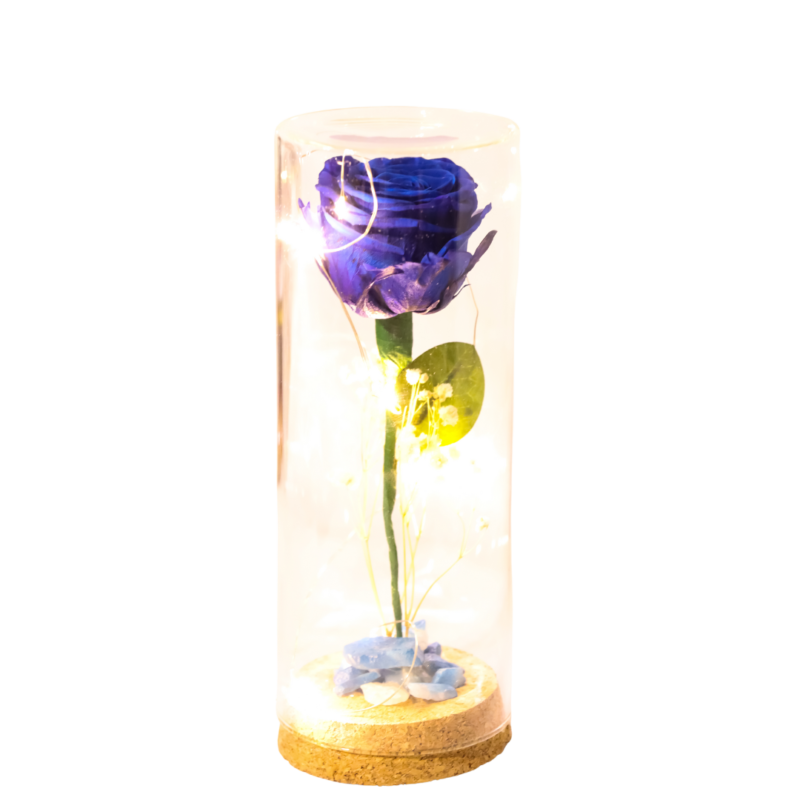 Capsula con 2 Rosas lilas naturales preservadas - Flores a domicilio ...