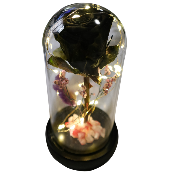 Capsula mediana con Rosa Negra natural preservada | Flores a domicilio ...